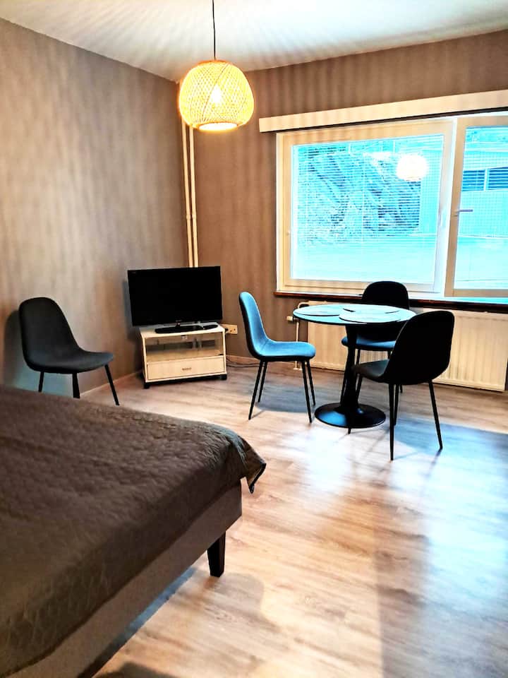 Remontoitu Yksiö Kaupungin Ydinkeskustassa - Savonlinna