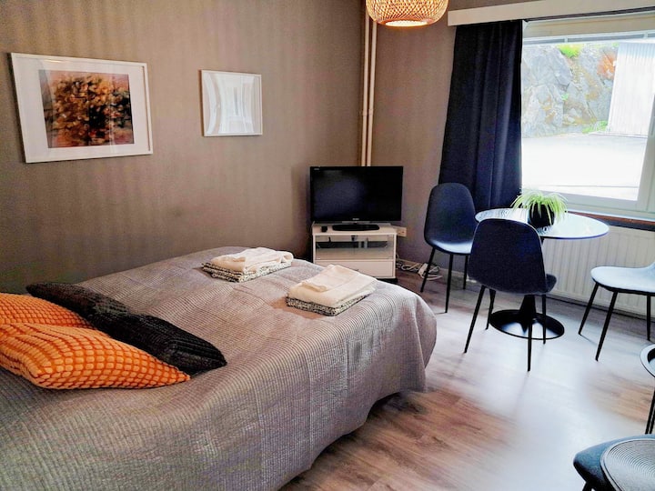 Remontoitu Yksiö Kaupungin Ydinkeskustassa - Savonlinna