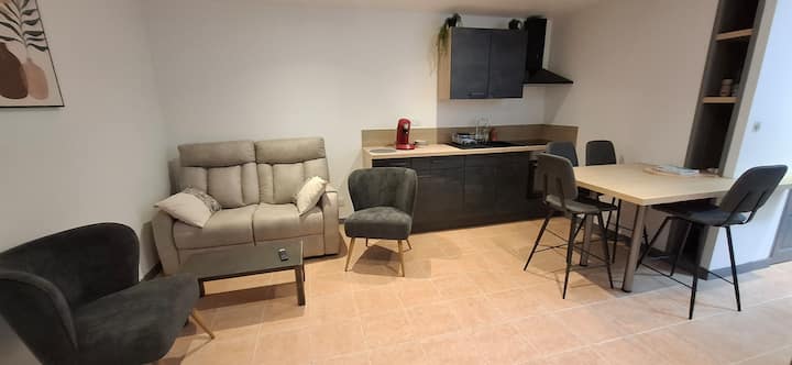 Maison Avec 2 Appartements Et Terrasse - Villeneuve-sur-Yonne
