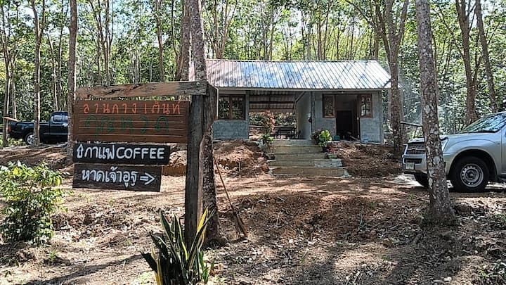 ห้องเล็กในป่ายาง ท่ามกลางธรรมชาติ ใกล้ชายหาด - Ko Lanta District