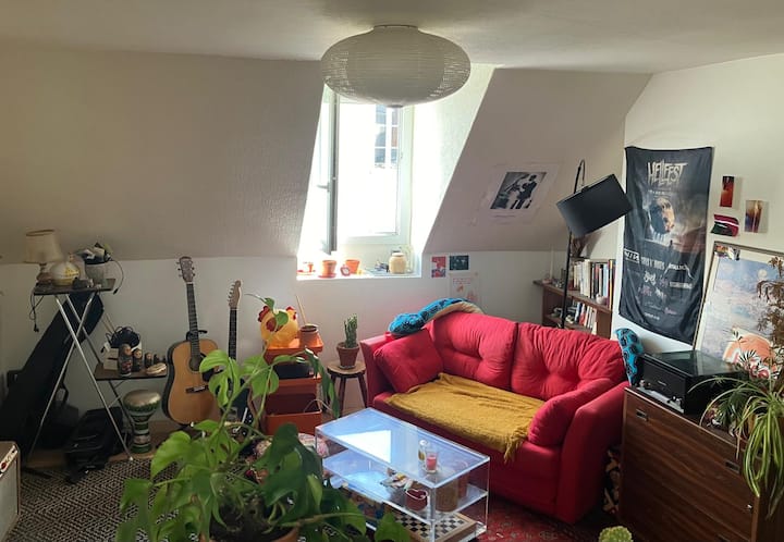 Appartement Artistique Et Chaleureux, Tours Centre - Joué-lès-Tours