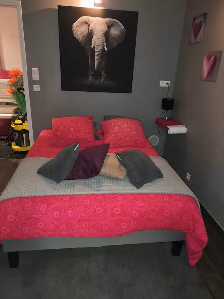 Studio Detente - Cherbourg-Octeville