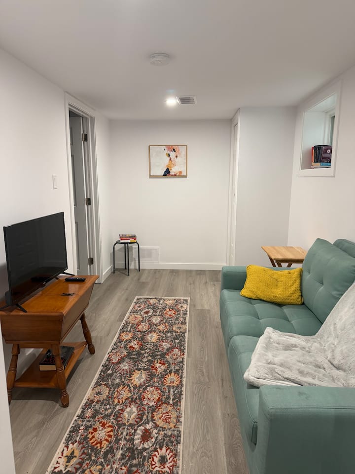Darling Downtown 1 Bd Basement Unit - London, ON, Canada