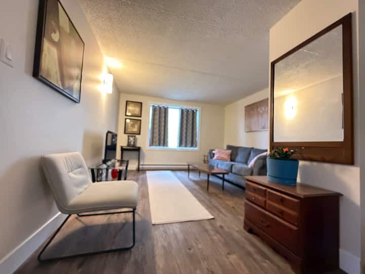 2 Bedrooms Updated Modern Unit Near To Everything. - Thunder Bay