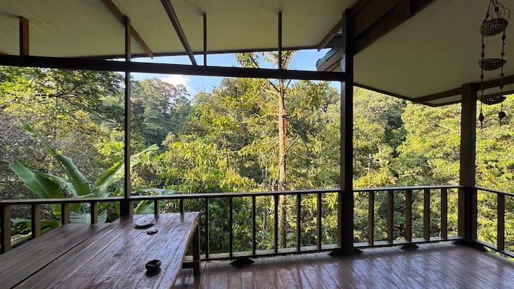 Privacy Pure - Ko Pha-ngan