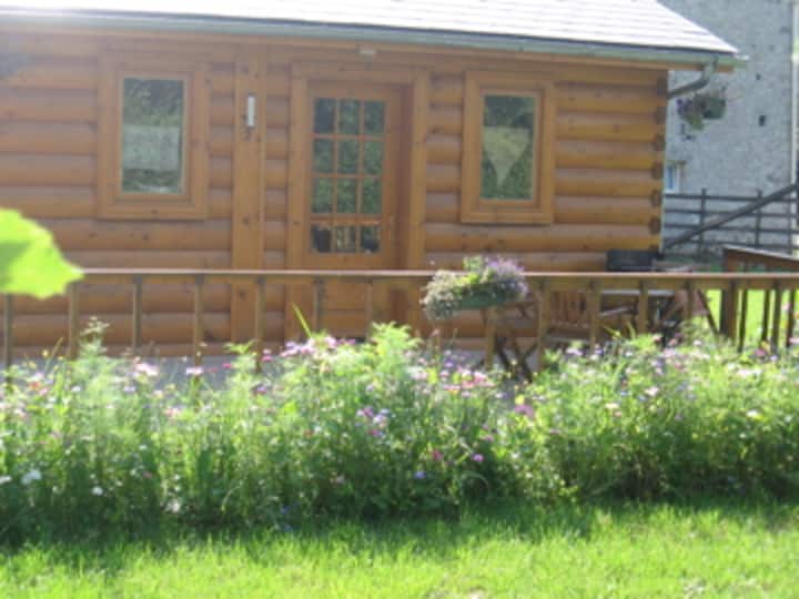 Maison Dans La Prairie - Grandcamp-Maisy