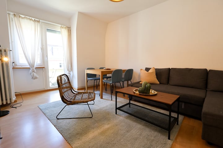 Bright Flat Near Zürich Hb (Main Station) - Zurich
