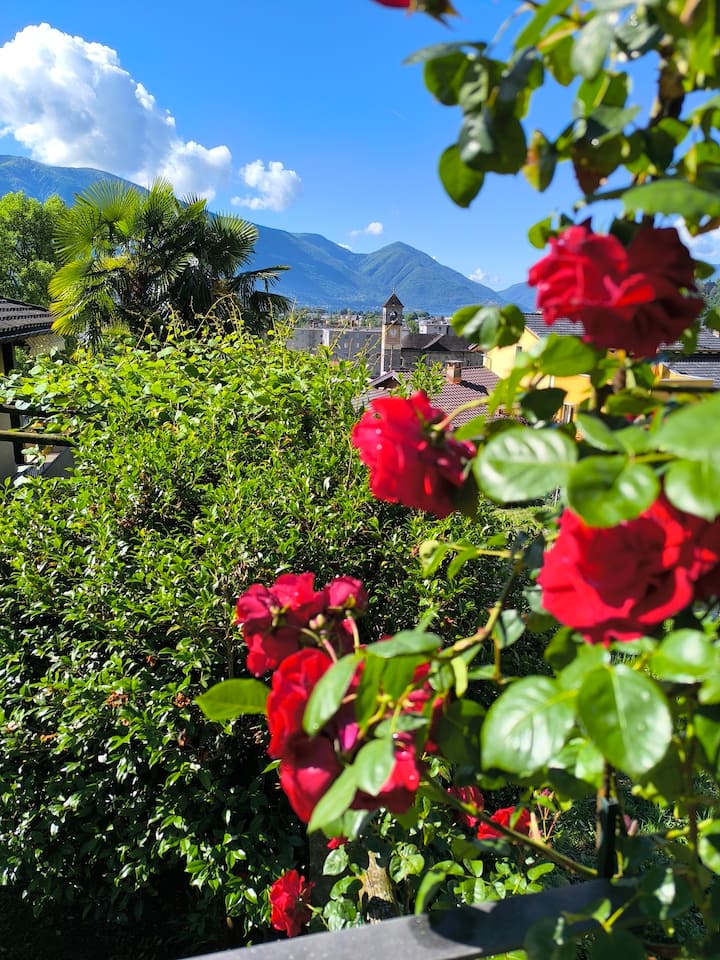 Appartamento A Locarno Con Giardino E Vista Lago. - Locarno