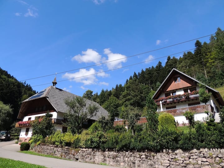 Waldbauernhof Fewo 1 - Haslach im Kinzigtal