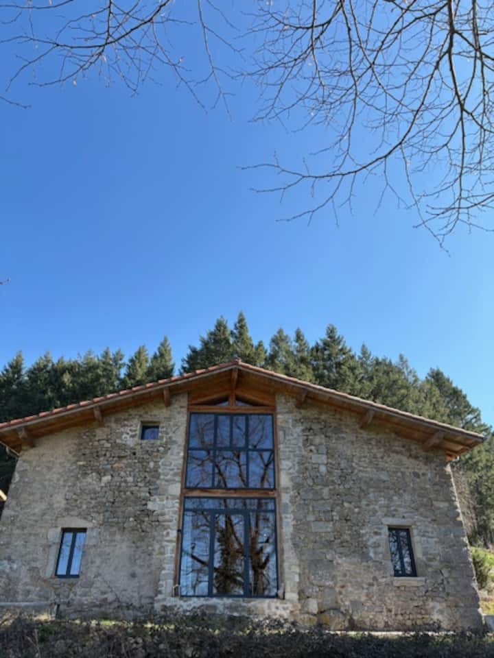 Grande Maison De Caractère Rénovée Au Calme - Thiers