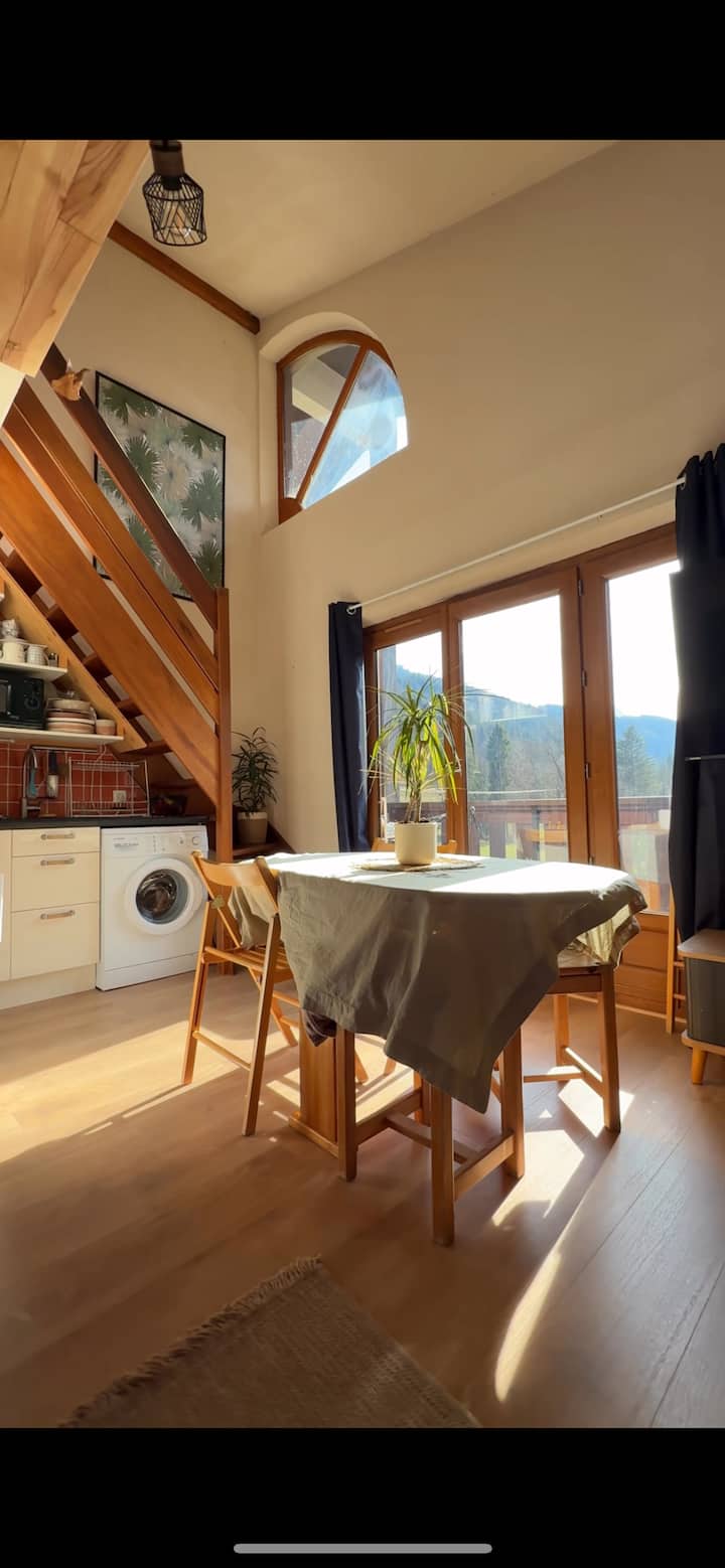 Studio Cosy Lumineux Avec Belle Vue Sur Montagne - Abondance