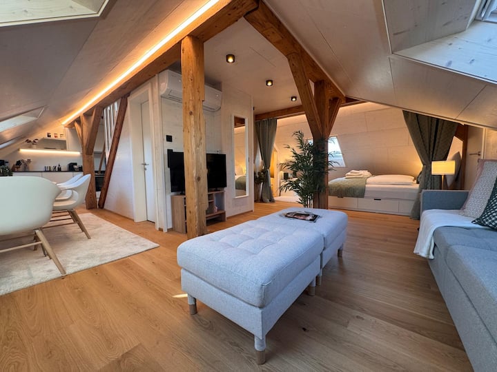 Waterfront Penthouse | Ac | Rooftop | Free Parking - Zürich