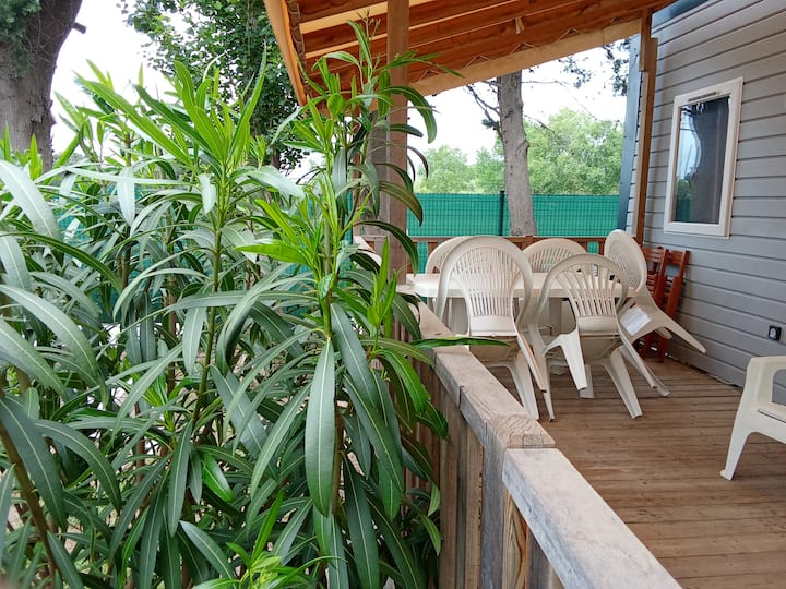 Cosy Mobile Home 6p Piscine Inclus ! - Canet-en-Roussillon