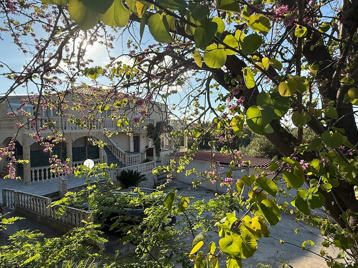 Appartamento Luxury Riaci - Tropea