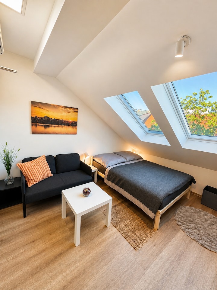 Sunny Attic Studio • 5 Min To I.p. Pavlova (303) - Prága