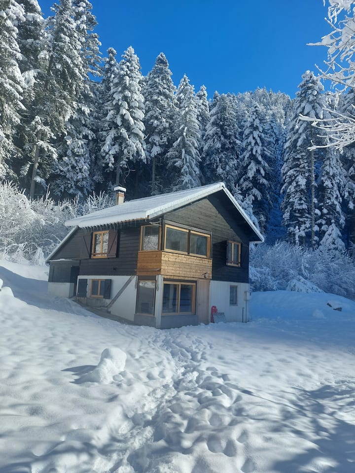 Le Chalet De Mamette Et Papette - Saint-Pierre-de-Chartreuse