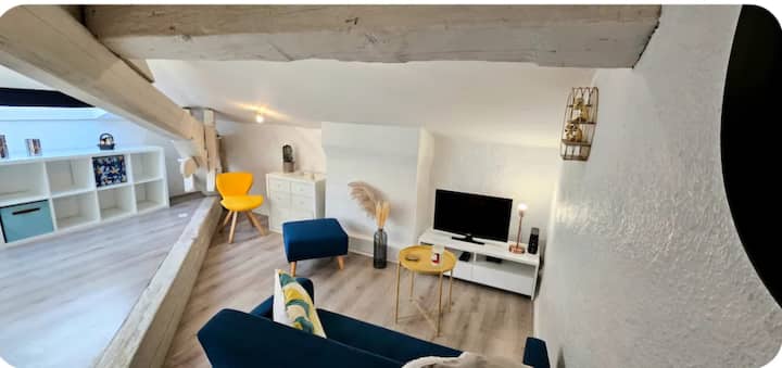 Petit Appartement Au Centre De Toulouse Climatisé - Toulouse