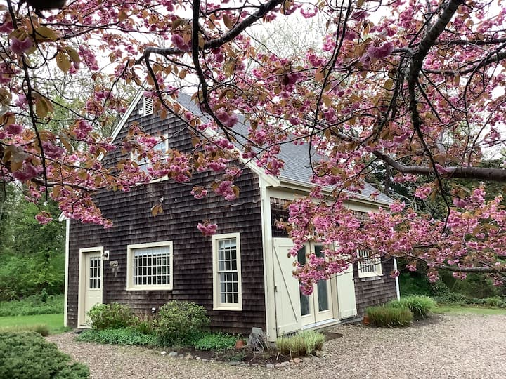 Cape Cottage, 1.2 Miles From Bay - Sleeps 4 - Brewster, MA