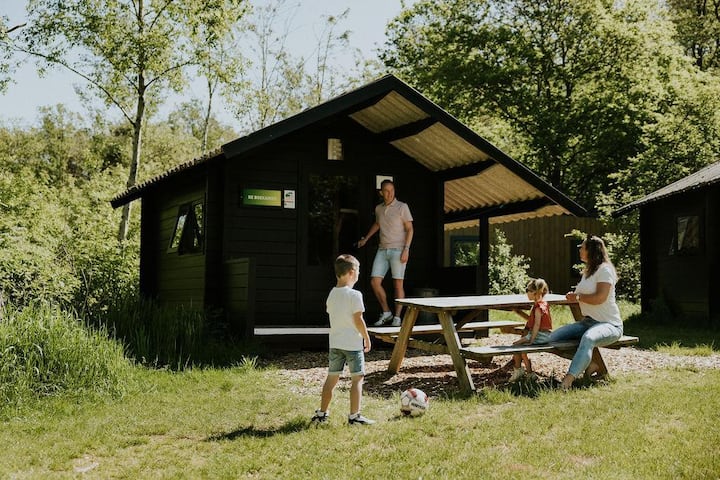 Log Cabin Among Trees For 4 Persons - Slagharen