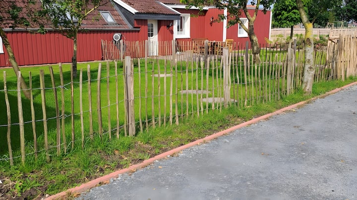 Möwennest Dornum - Dornum