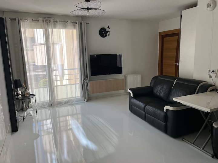 Beau Studio 30m2 à 10 Min De Cdg Et Astérix - Parc Astérix