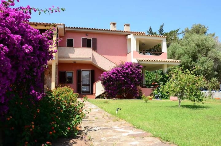 Il Bouganville By Gmb Holidays - Arzachena