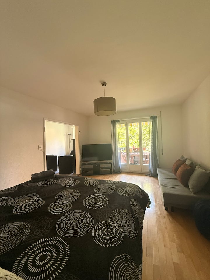 Studio Apartment - Bern