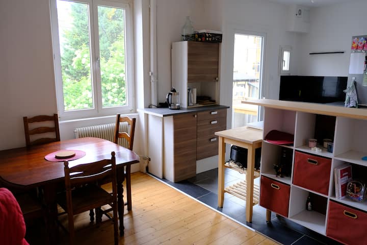 Appartement Rénové Au Calme, Balcon Sur Jardin - Strassburg