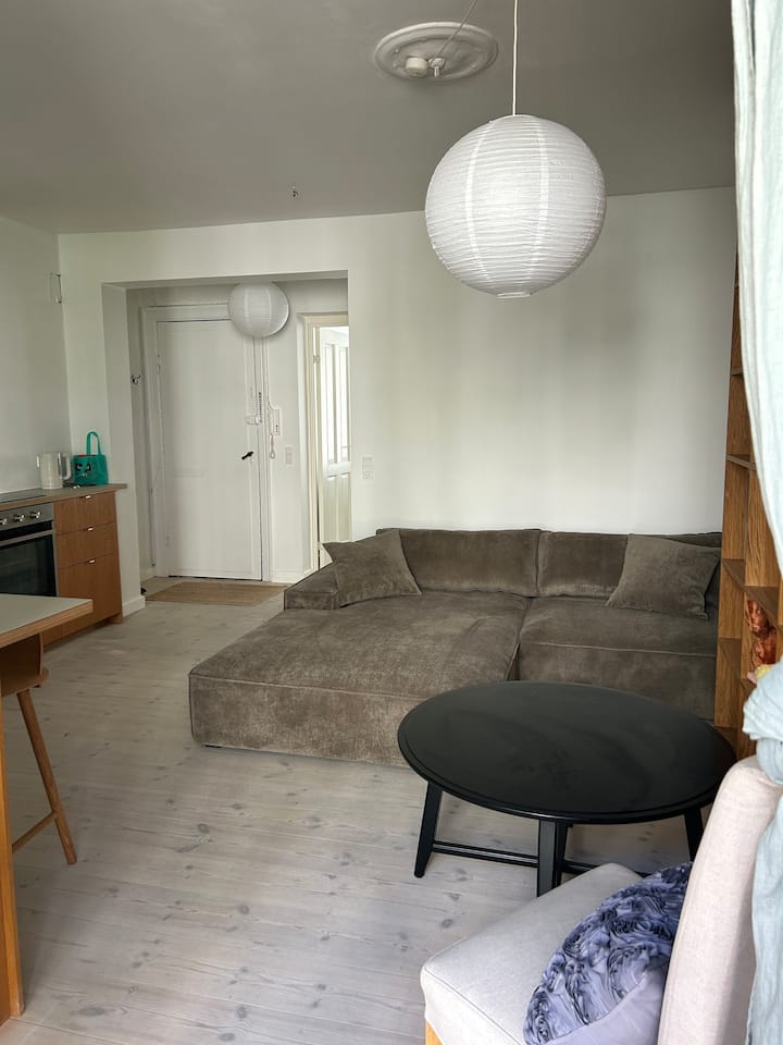 A Cosy (And Cute!) Flat With The Best Location. - Copenhagen