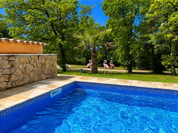 Villa Provençale Avec Piscine Privée Jardin Soleil - Montauroux