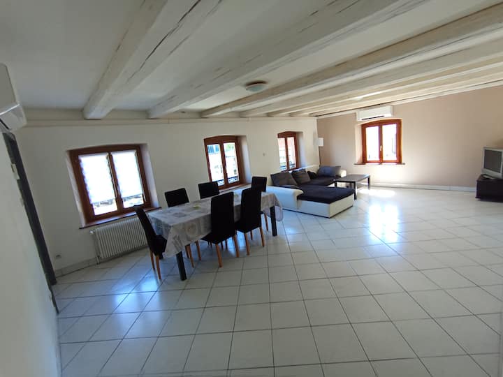 Grand Appartement Tout éQuipé Avec Clim Et Jardin - Sainte-Marie-aux-Mines