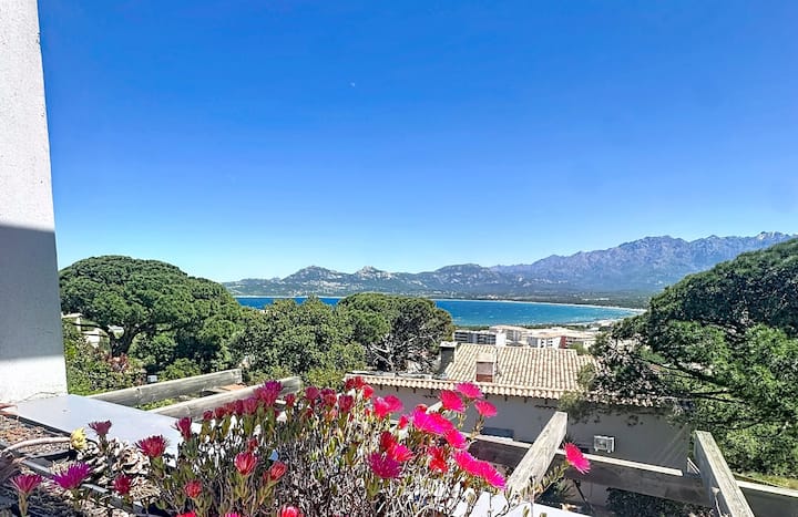 T3 Avec Superbe Vue Sur La Baie De Calvi - Calvi