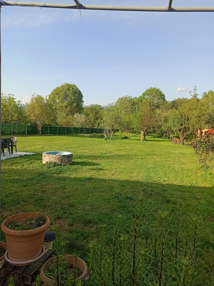 Doğanın Içinde Kuş Sesleri Eşliğinde - Muğla