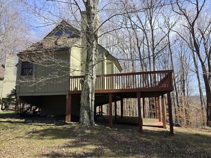 Black Bear Resort - Views, Deck & Resort Access - Davis, WV