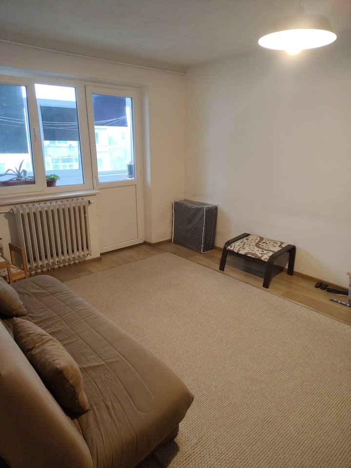 Apartamentul Cu Carti - Bascov