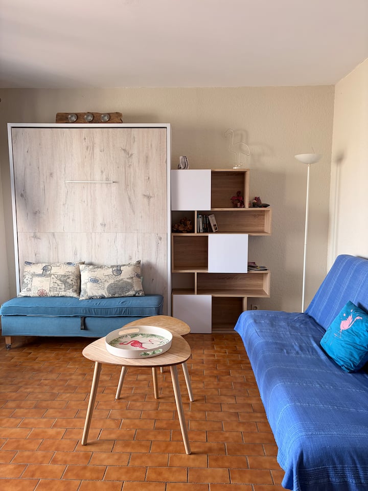 Appartement Au Grau Du Roi à Deux Pas De La Plage - Plage de l'Espiguette