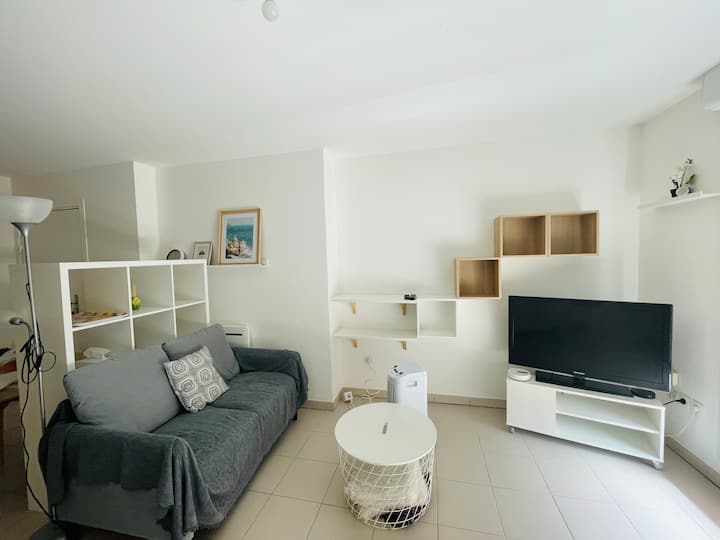 Appartement Meublé T2, Près De Tramway, Aéroport - Blagnac
