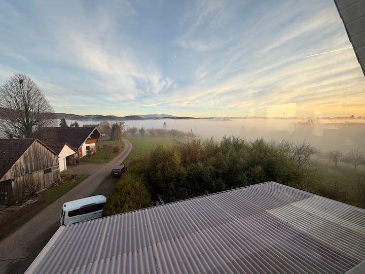 Endreihenhaus Mit Traumhafter Aussicht - Reute