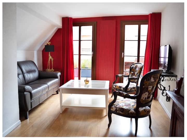 Maison Alsacienne Typique En Plein Centre Alsace - Sélestat