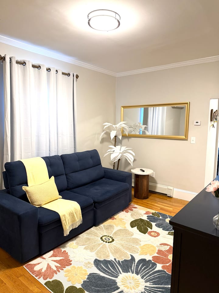 New Gorgeous Apartment Near Boston - Everett, MA