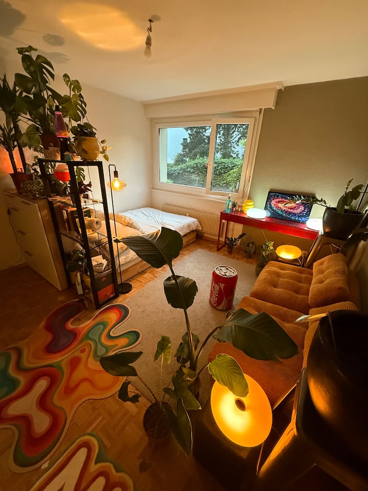 Belle Maison Près Du Lac - Lausana