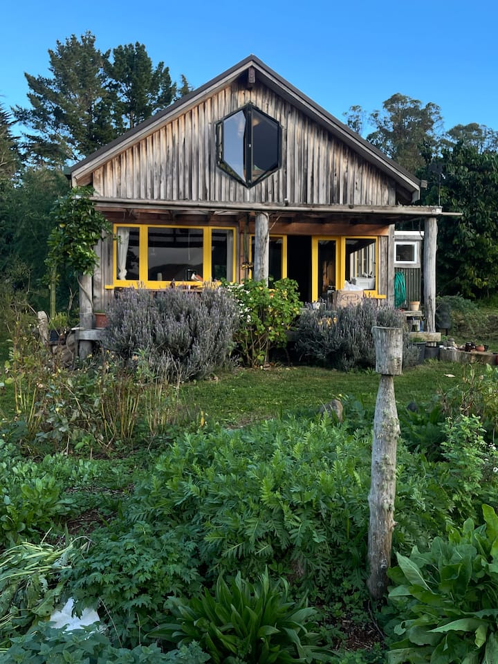 Artistic Wooden Cabin On Organic Permaculture Farm - Raglan