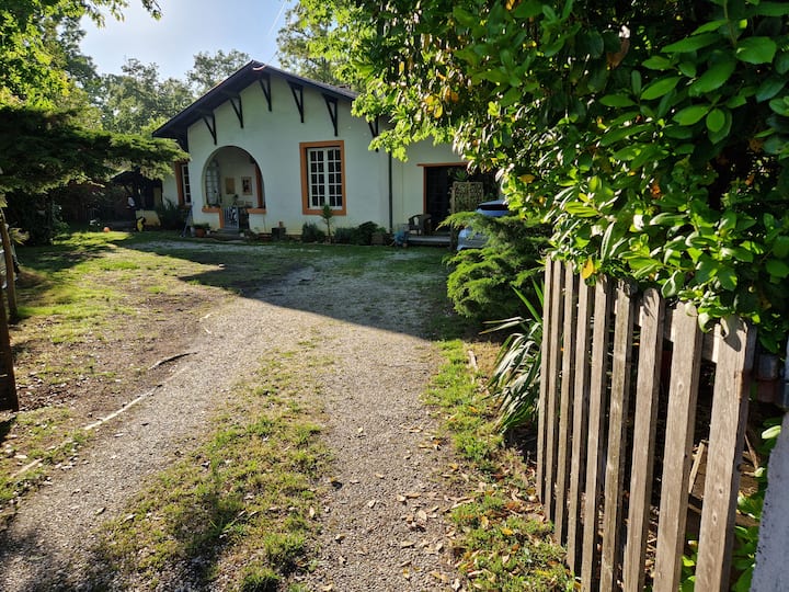 Maison Familiale Traditionnelle à 300m Du Bassin - Lanton