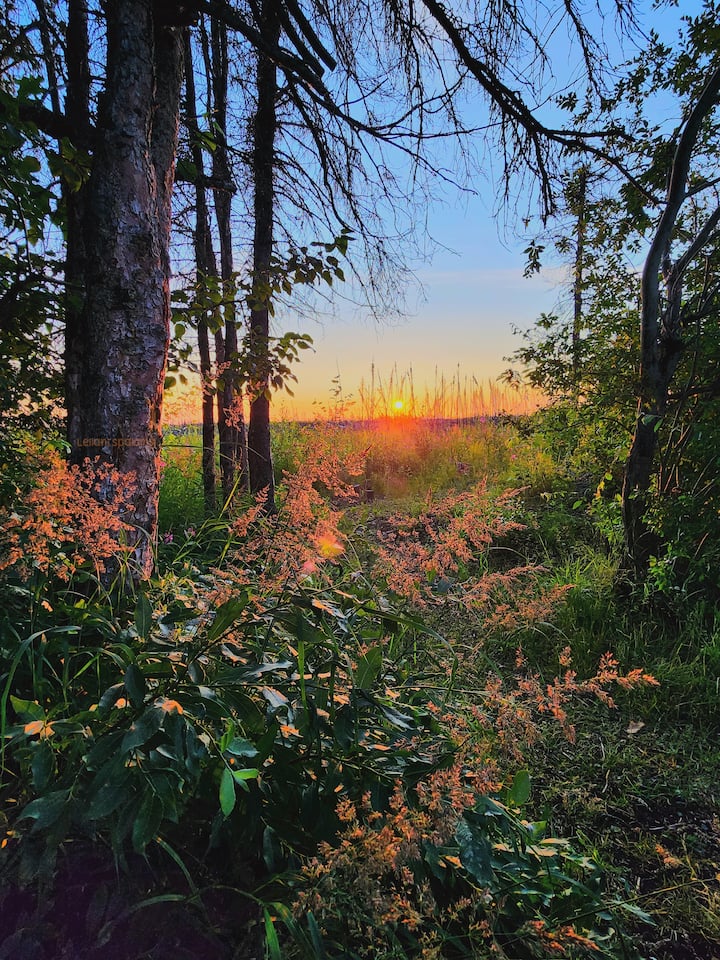 Cozy Alaska - Kenai, AK