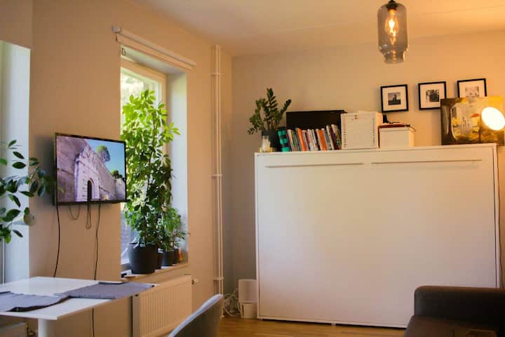 Green Balcony Studio Near Metro - Tumba