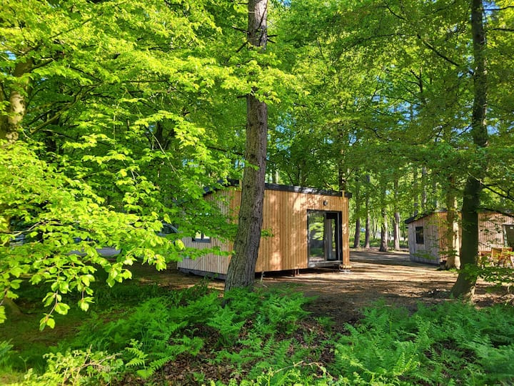 Sherwood Pines - Deluxe Pod 2 - Sherwood Forest