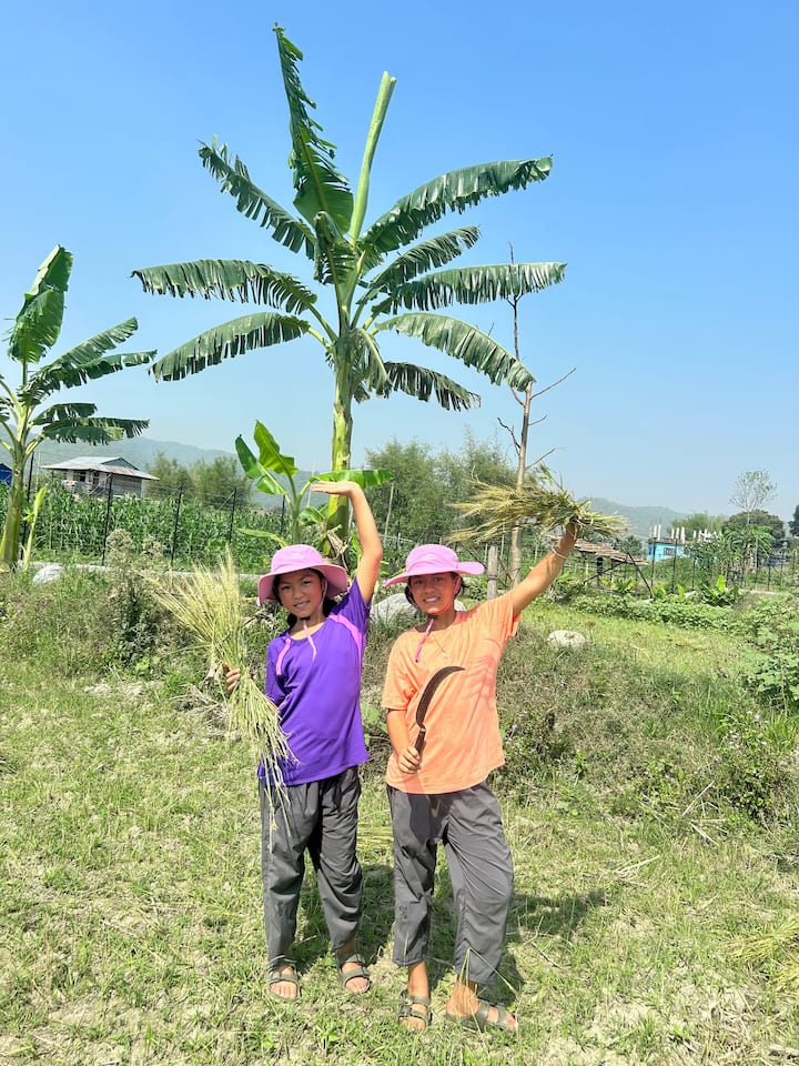 Nejang Lamu Farm Stay - Nepal