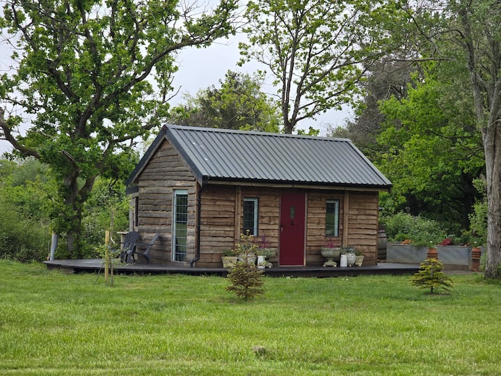 Conkers Cabin - Isle of Wight