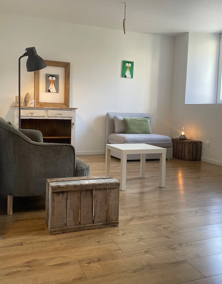 Appartement De Charme - Espace Extérieur Au Calme - Alsacia