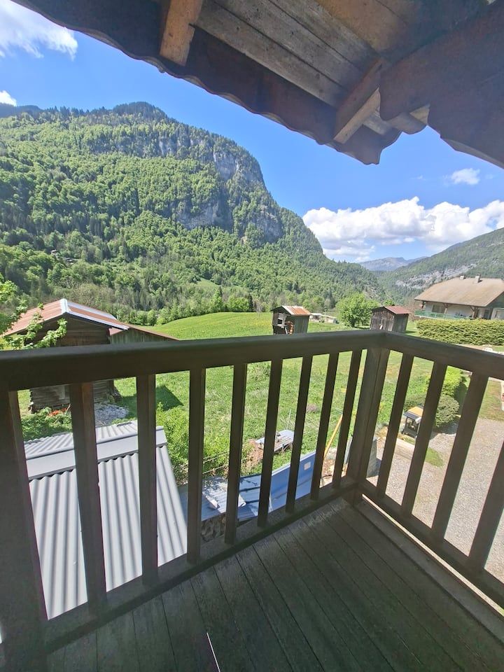 Petit Chalet " Le Génépy" - Sixt-Fer-à-Cheval